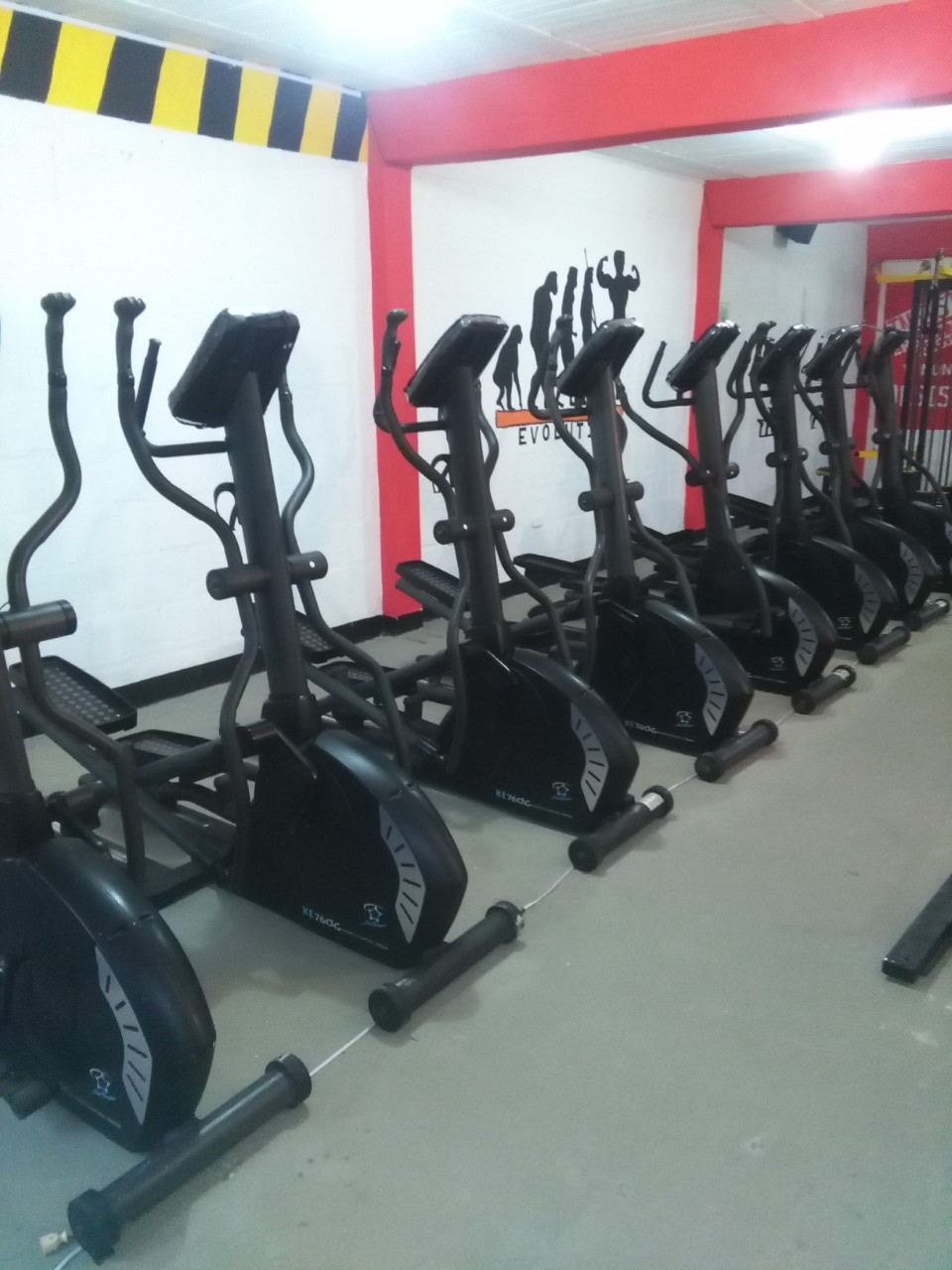 Programas :: Power-fit-gym-funcional